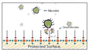 Biostatic Surface Protectant -"BioProtect" AntiMicrobial Protectant